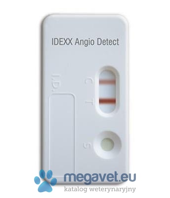 IDEXX Polska – Lider Diagnostyki i Rozwiązań Weterynaryjnych